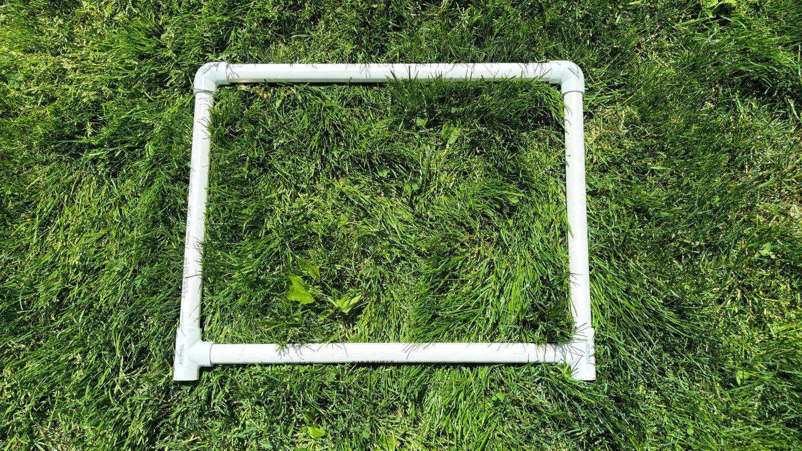 3 Easy Dog Agility Hoop Options Your Pup Will Love