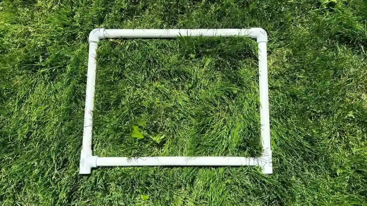 3 Easy Dog Agility Hoop Options Your Pup Will Love