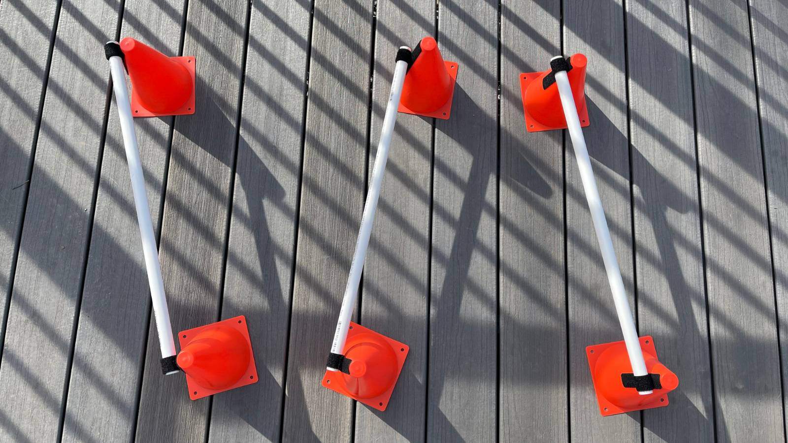 How To Use Cavaletti For Dogs: Help Your Dog Enjoy Exercise!