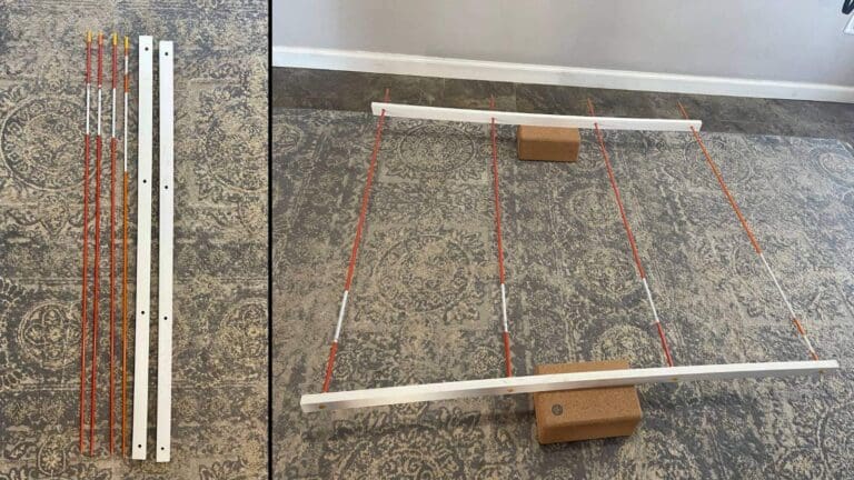 How To Use Cavaletti For Dogs: Help Your Dog Enjoy Exercise!